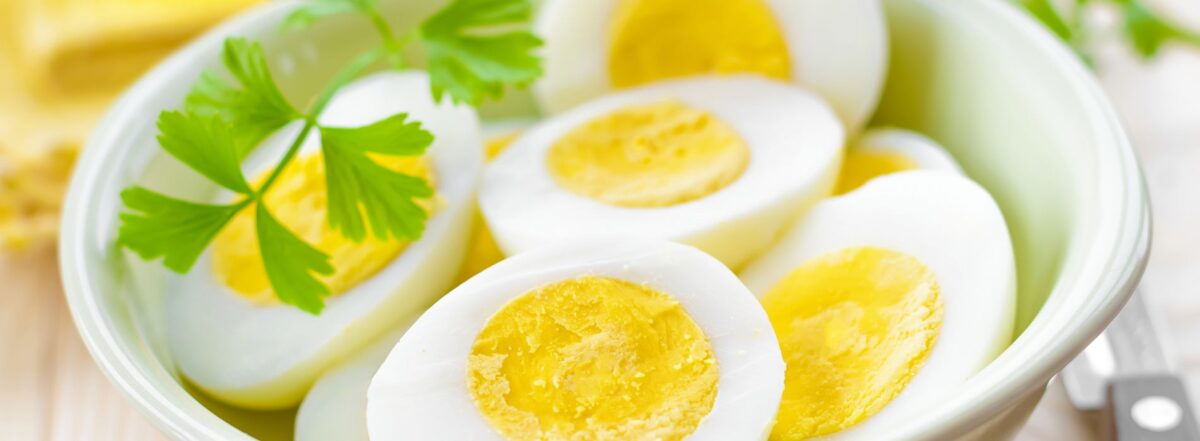 Is it Bad To Eat Too Many Eggs When I'm On A Diet? | Spatz3